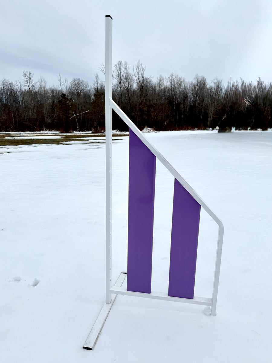 LITE Aluminum Jump, PURPLE/PURPLE - Invitational2026 – RUN IT!